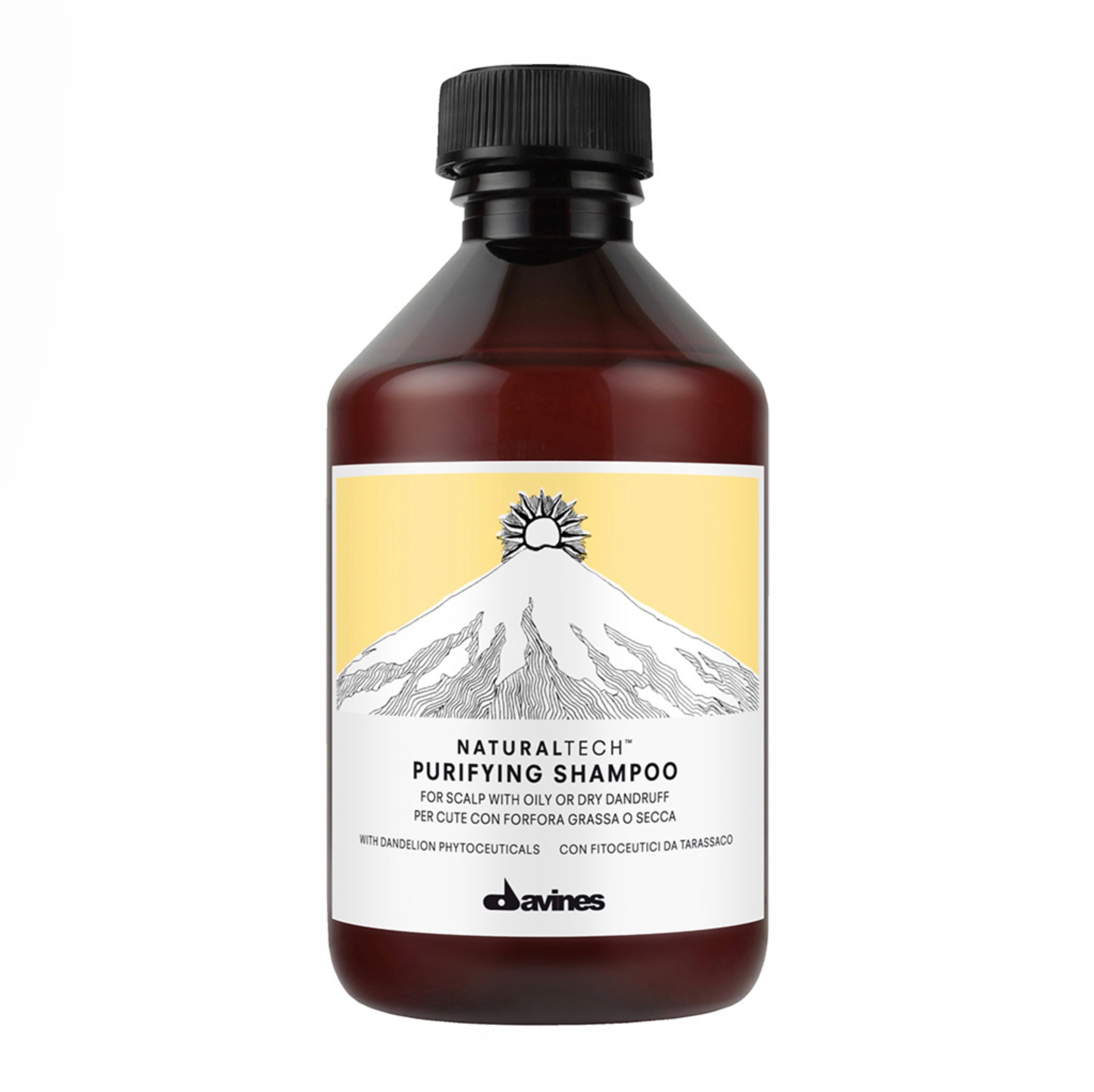 DAVINES Purifying Anti Dandruff Shampoo – The Rebel Gallery